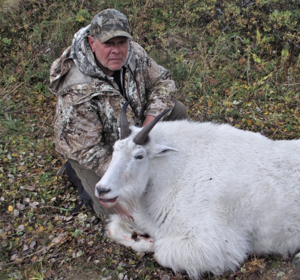 Mountain Goat Hunts | Northwestern BC Fly In Outfitter